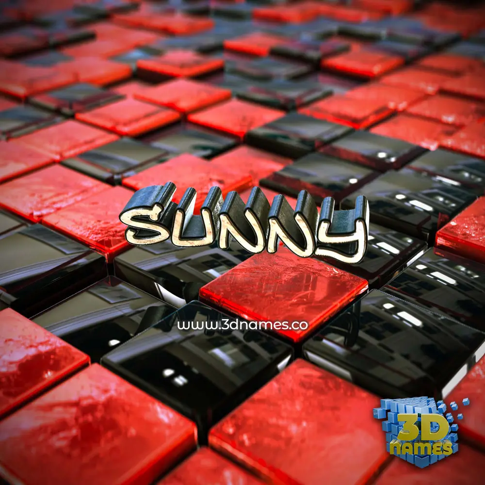 Red Checkered 3D Name Wallpaper for "sunny" | Custom Wallpaper | 3D Names