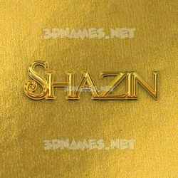 10 3D Names for "shazin"
