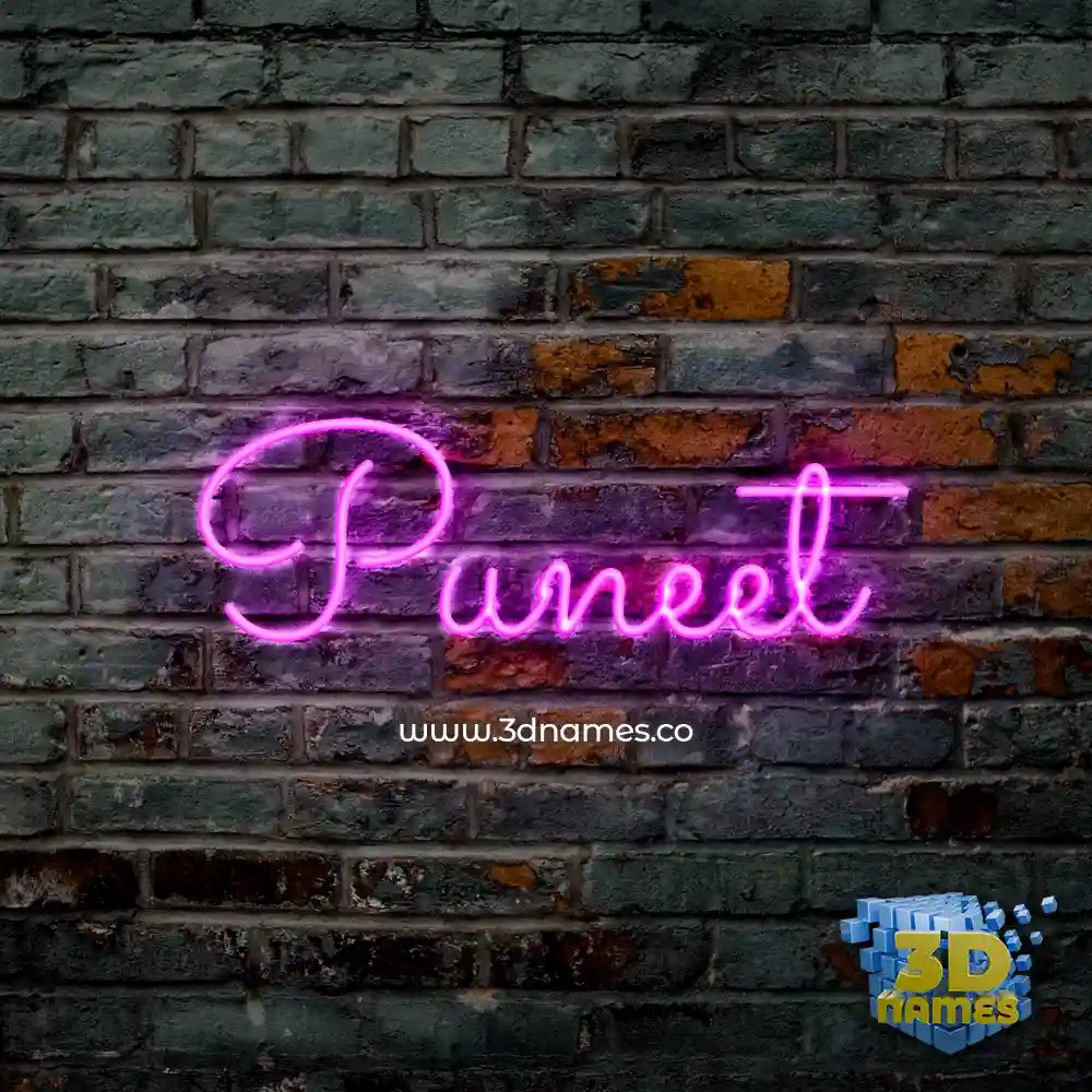Preview of Pink Neon 3D name for "puneet"