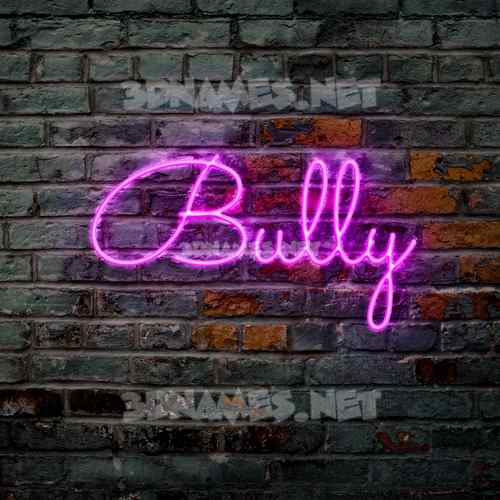 Preview of Pink Neon 3D name for "bully"