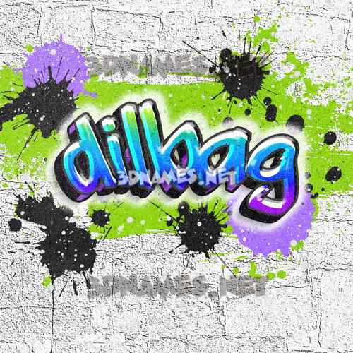 19 3D Names for "dilbag"