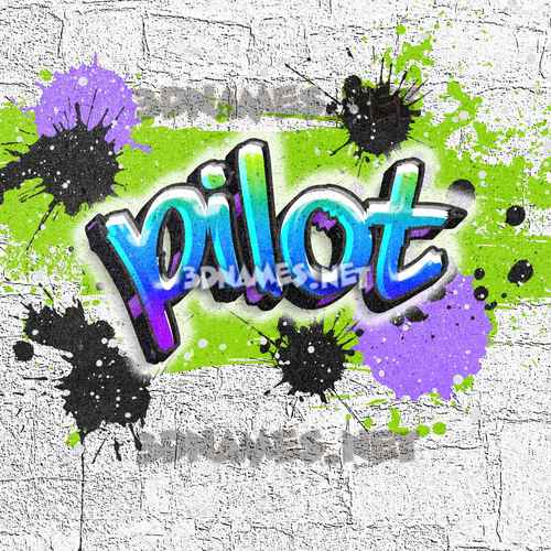 14 3D Names for "pilot"